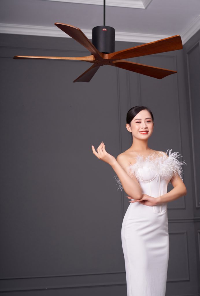 MR.VU 推出公寓吊扇模型 - Mr Vu fan in Taiwan